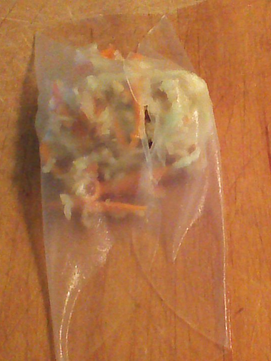 Chicken Noodle Spring Rolls – Crowded Earth Kitchen