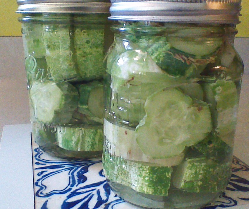Garlic Rosemary Refrigerator Pickles – Crowded Earth Kitchen