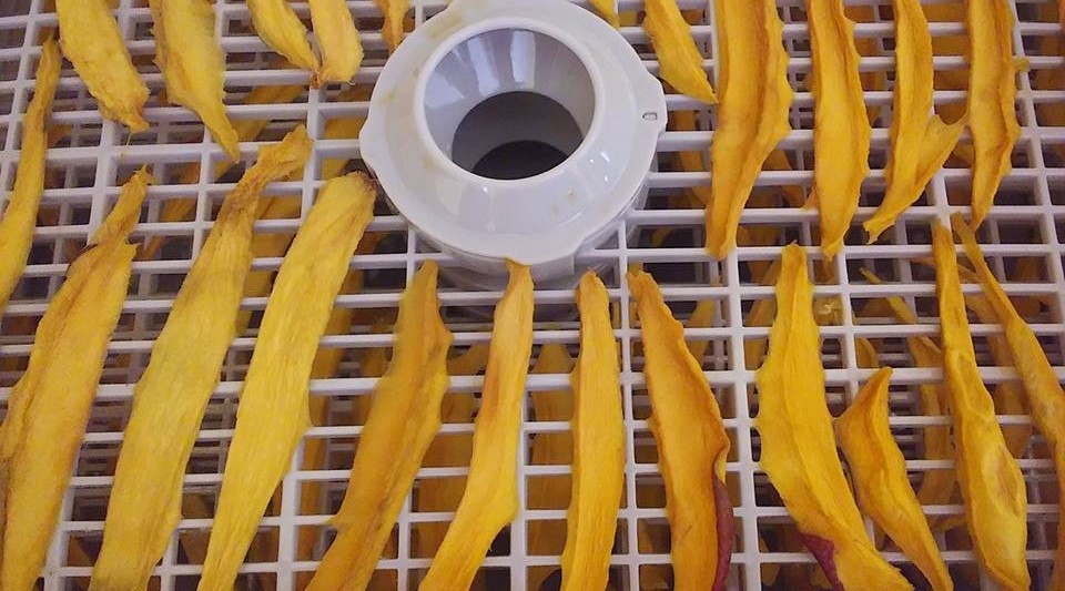 Chewy Mango “Candy” – Crowded Earth Kitchen