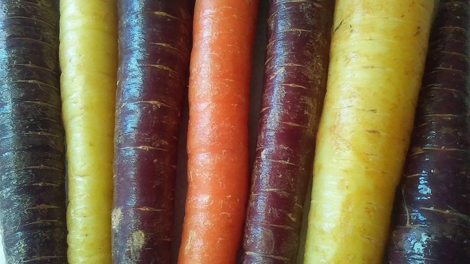 Spiralized Carrot Salad – Crowded Earth Kitchen