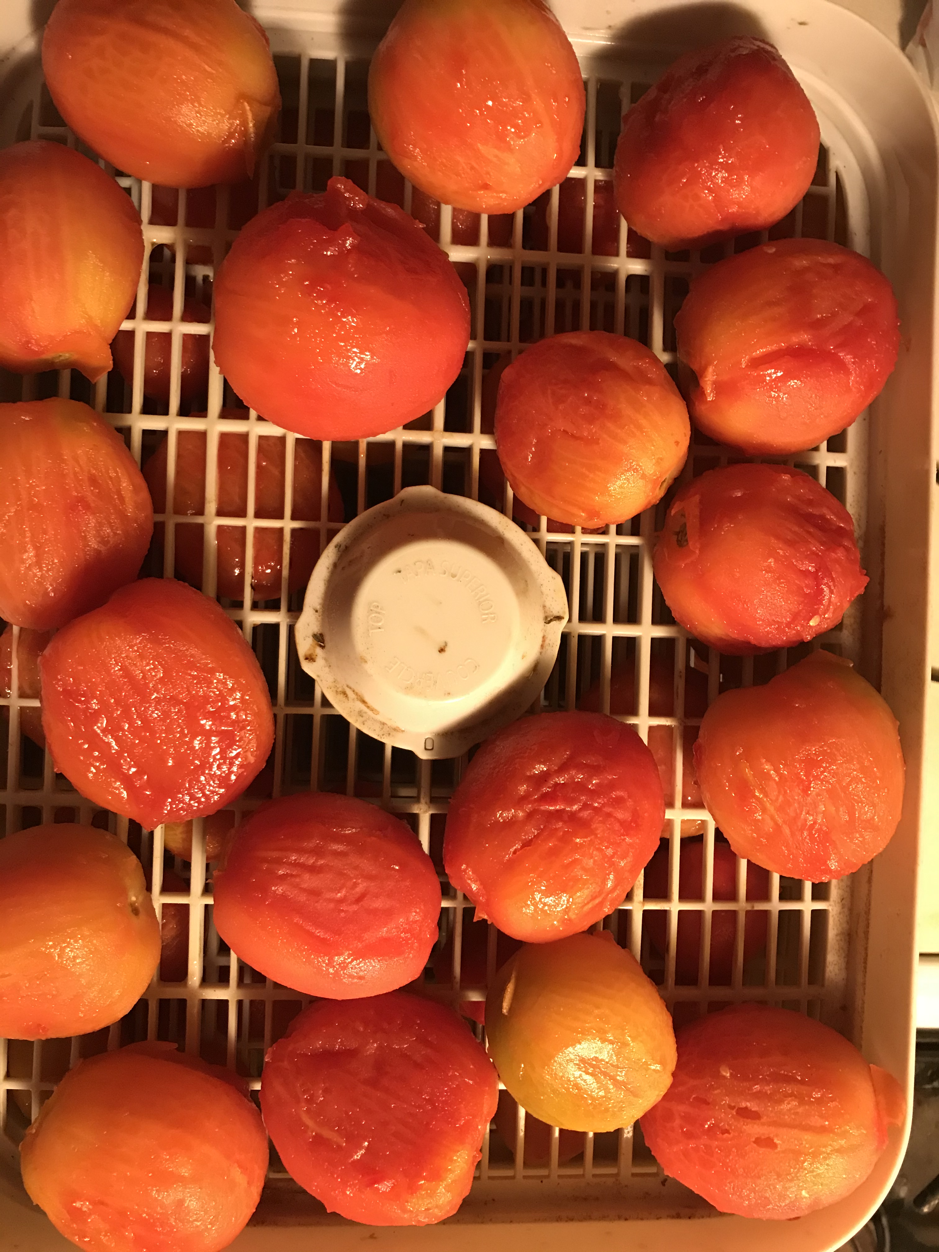 Sweet Tomato Figs – Crowded Earth Kitchen